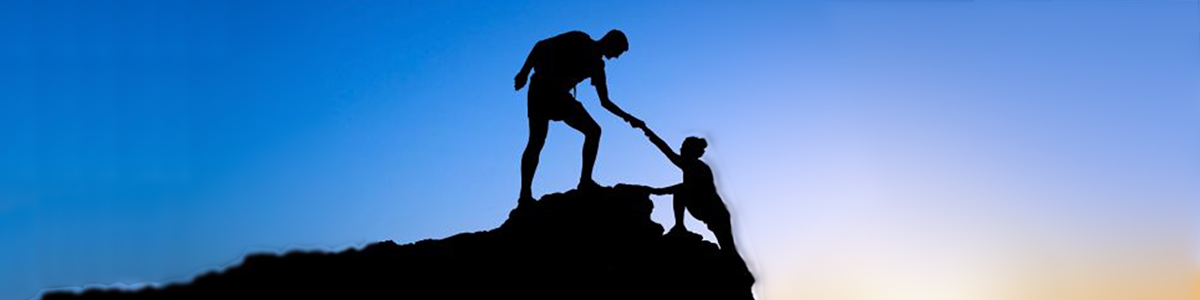 Contribution – 2020 Passion